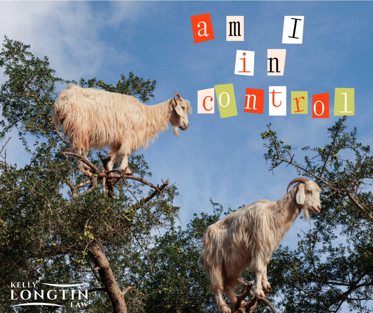 Do I Lose Control of My Assets in a Living Trust? - Kelly Longtin Law